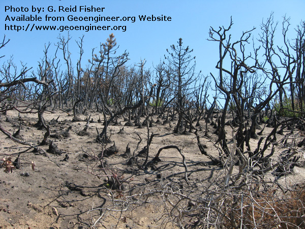Post-Fire Debris Flow Hazards, Monterey County, CA | Geoengineer.org